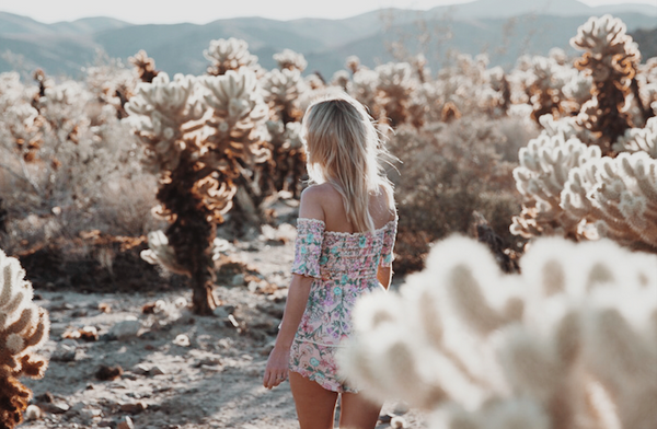 JOSHUA TREE – SPELL